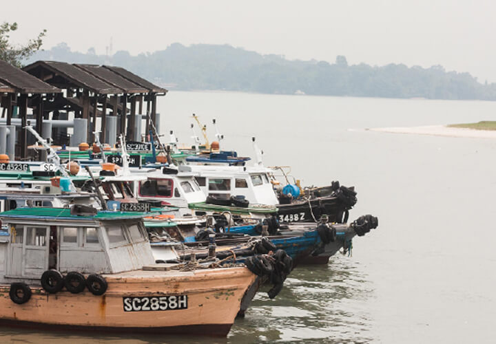 The Explorers - Changi Cove